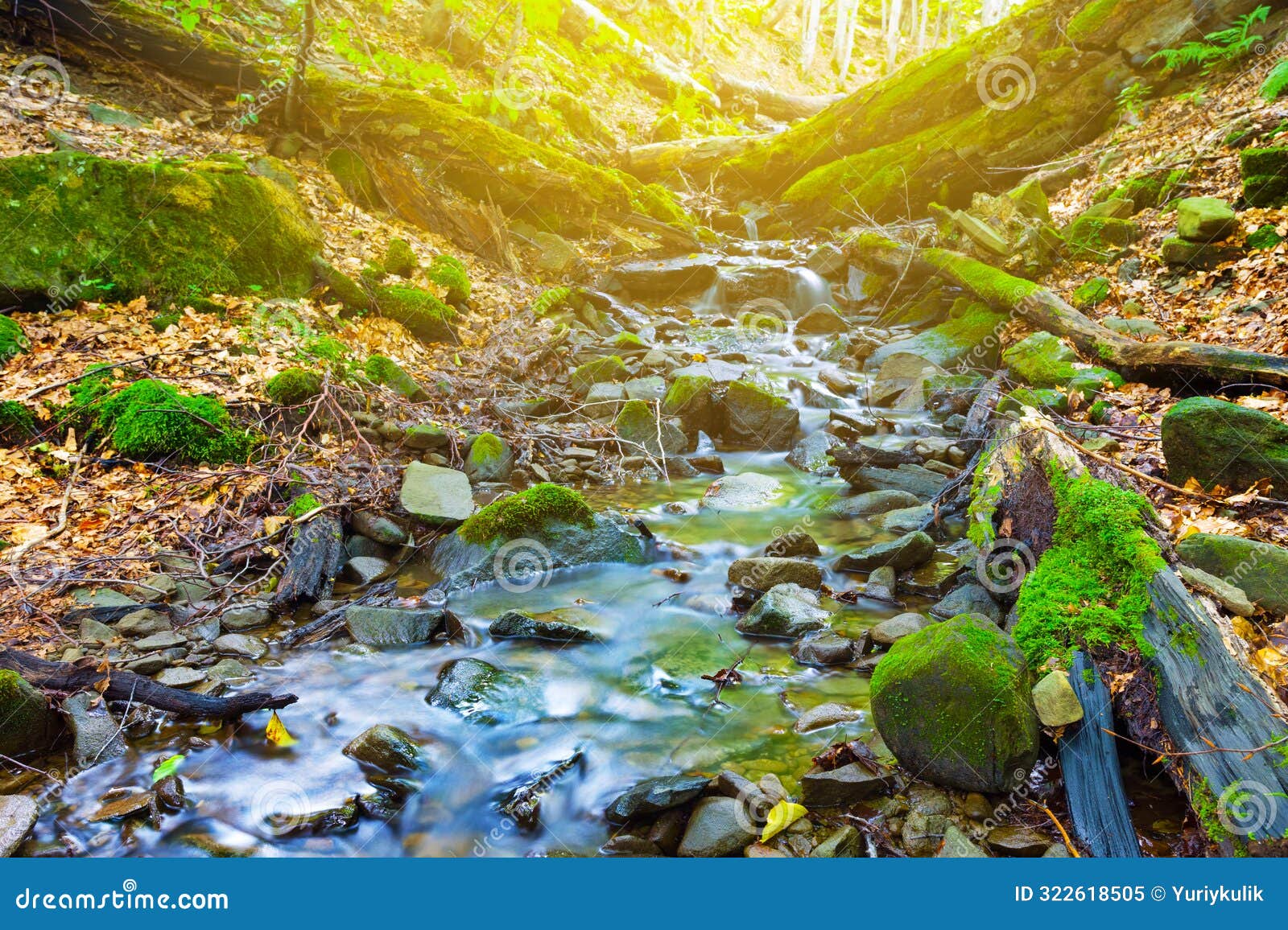Brook Flow among Green Mountain Stock Image - Image of water, motion ...