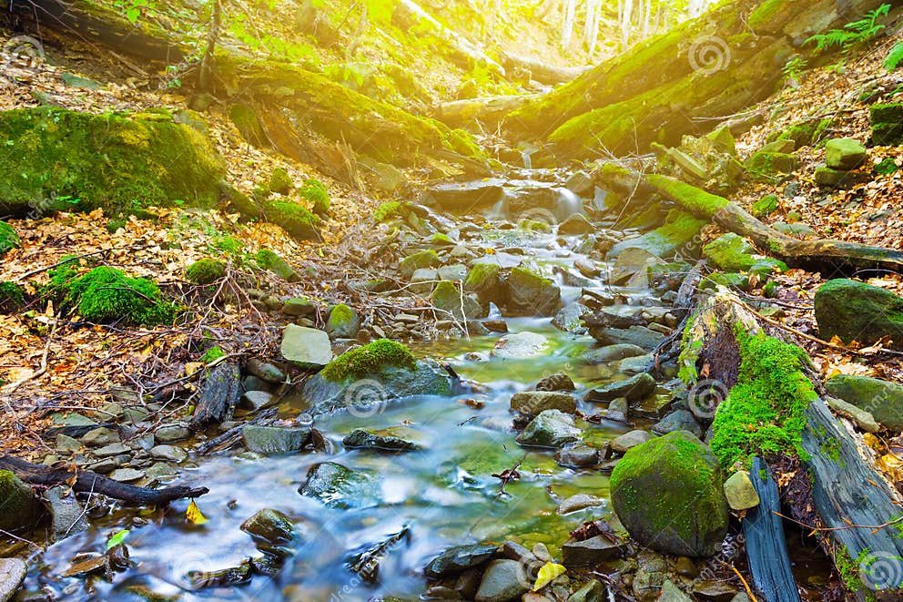 Brook Flow among Green Mountain Stock Image - Image of water, motion ...