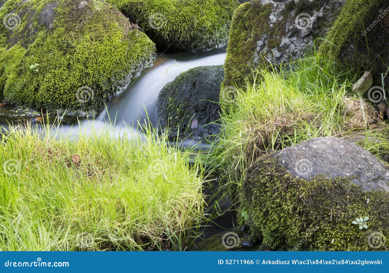 Small brook stock photo. Image of nature, flow, poland - 52711966