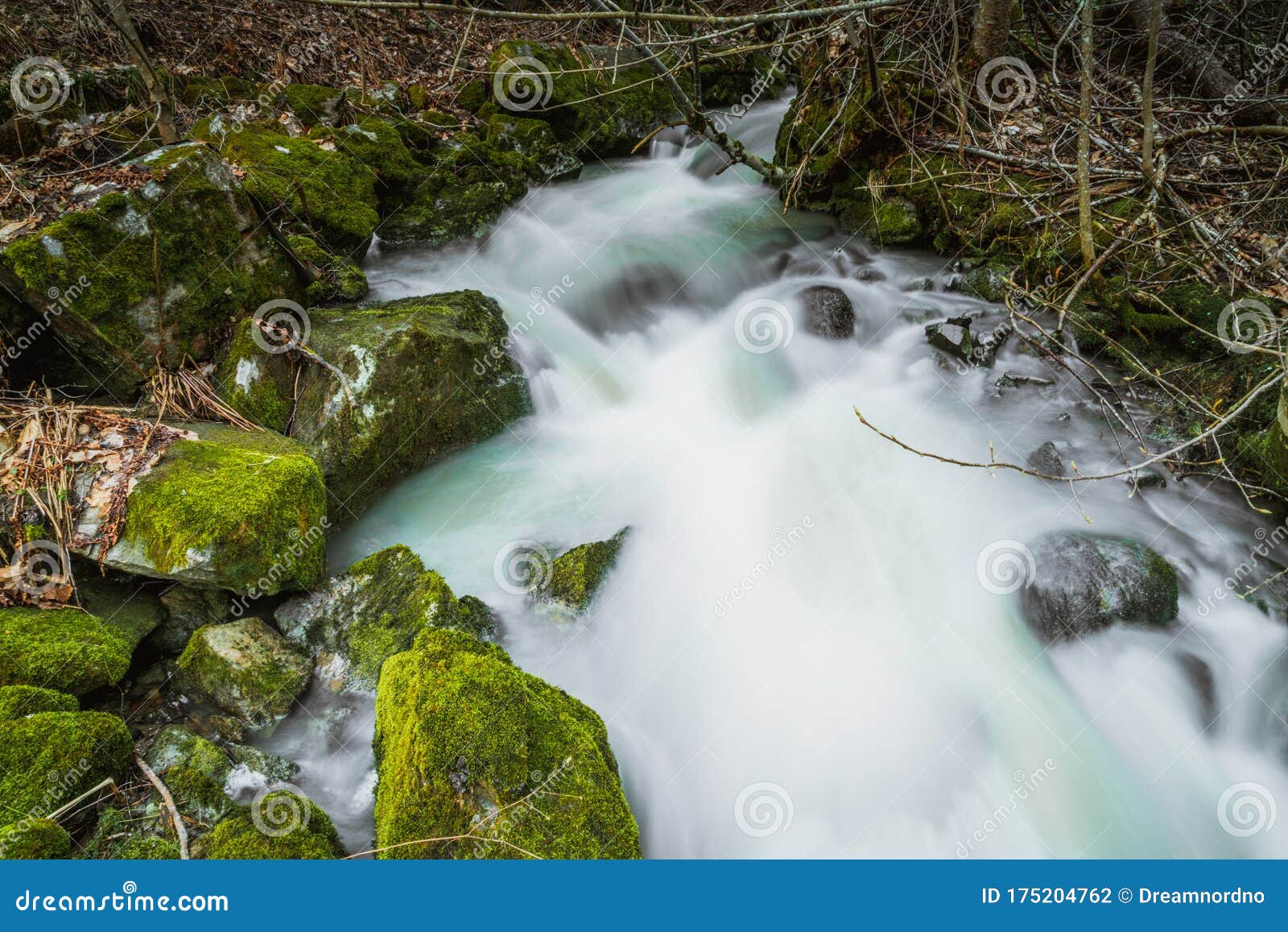 A Small Brook in the Middle of a Scandinavian Forest Stock Photo ...