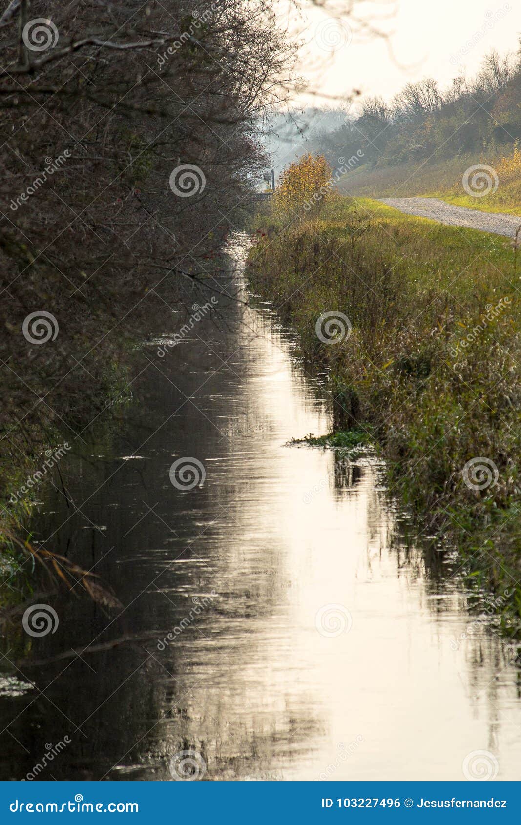 Small Brook Running through the Forest Stock Photo - Image of brook ...