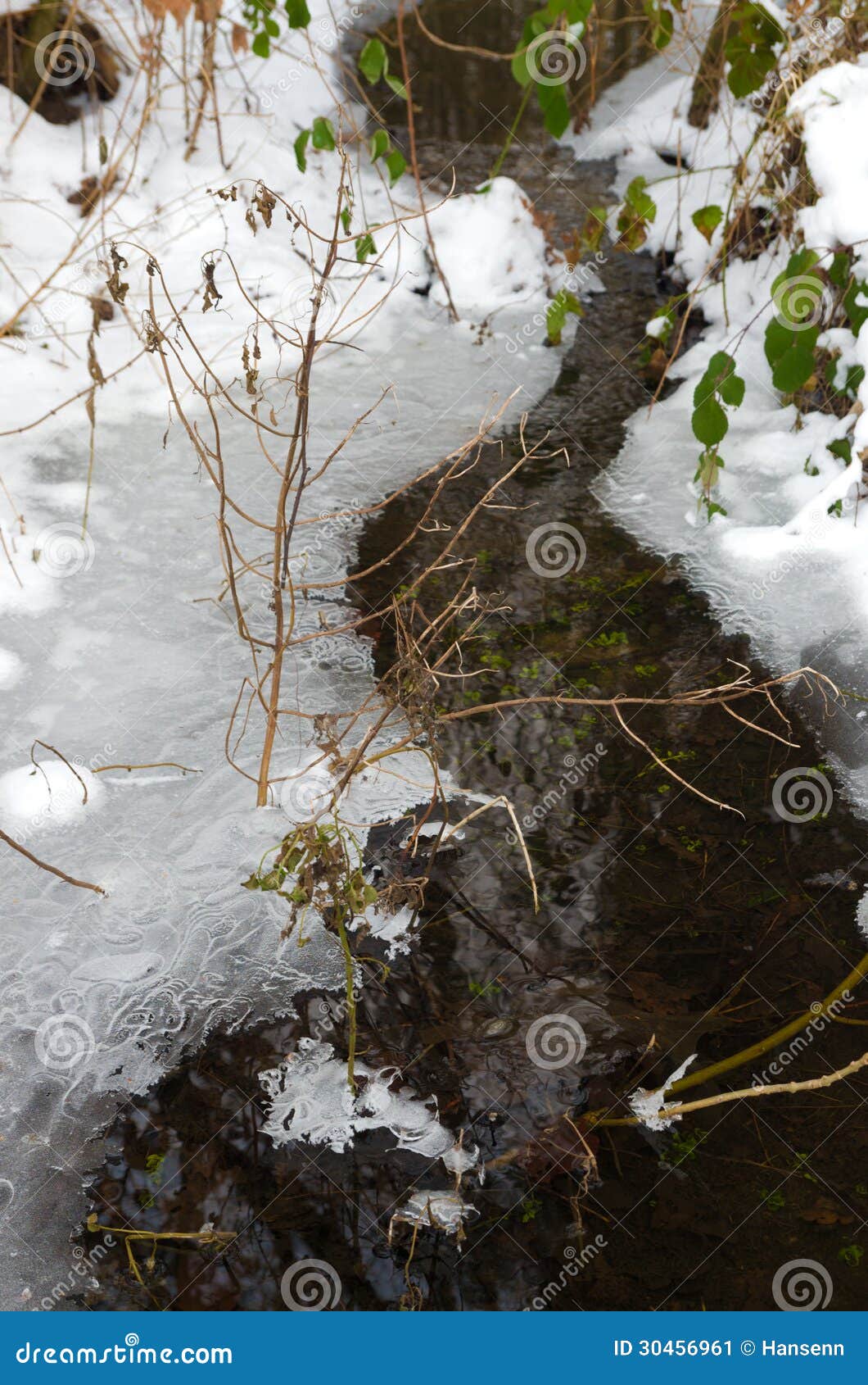 Small brook in winter stock image. Image of december - 30456961