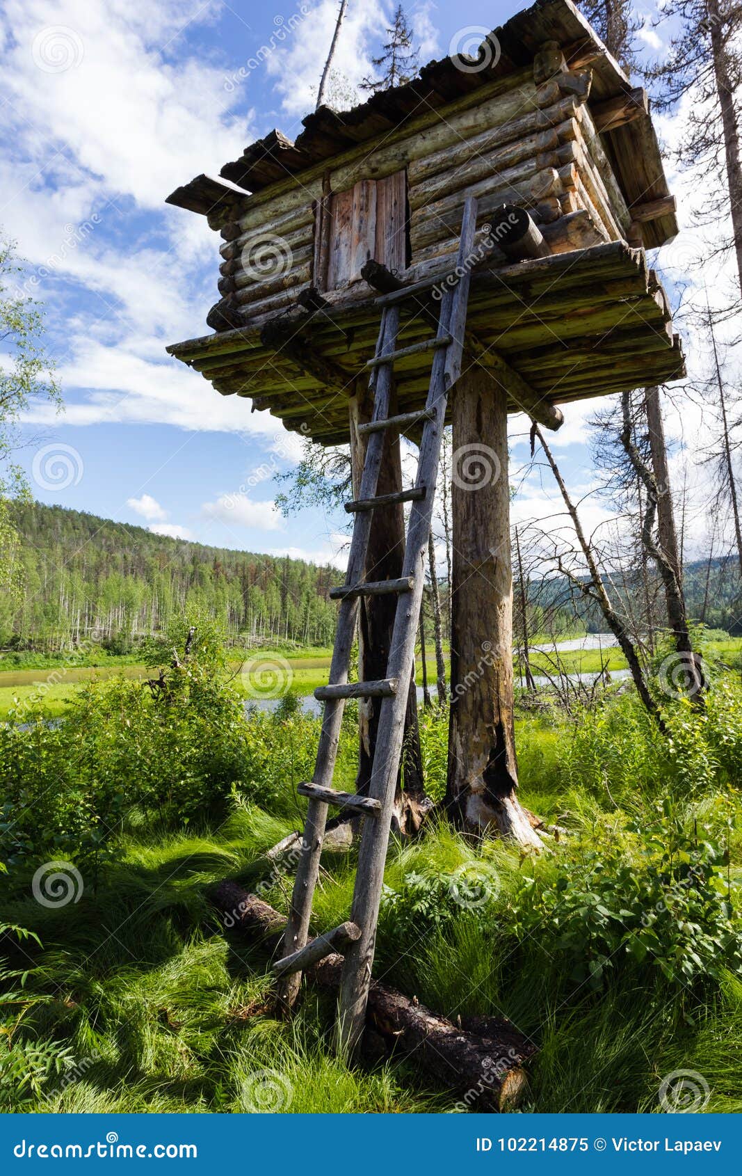 A Small Building on a Pole. Hunting Tower Stock Image - Image of blue ...