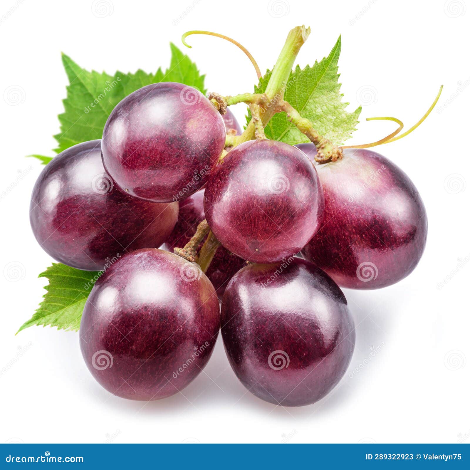 Small Bunch of Red Table Grape with Grape Leaves Isolated on White ...