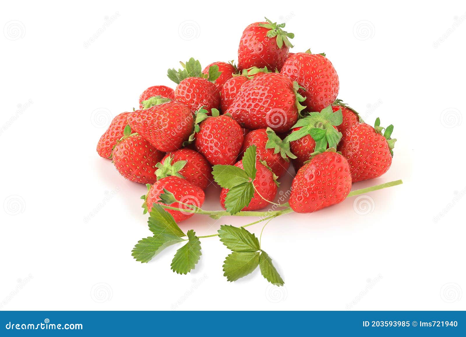Small Bunch of Strawberries with Sprig Isolated on White Stock Image ...