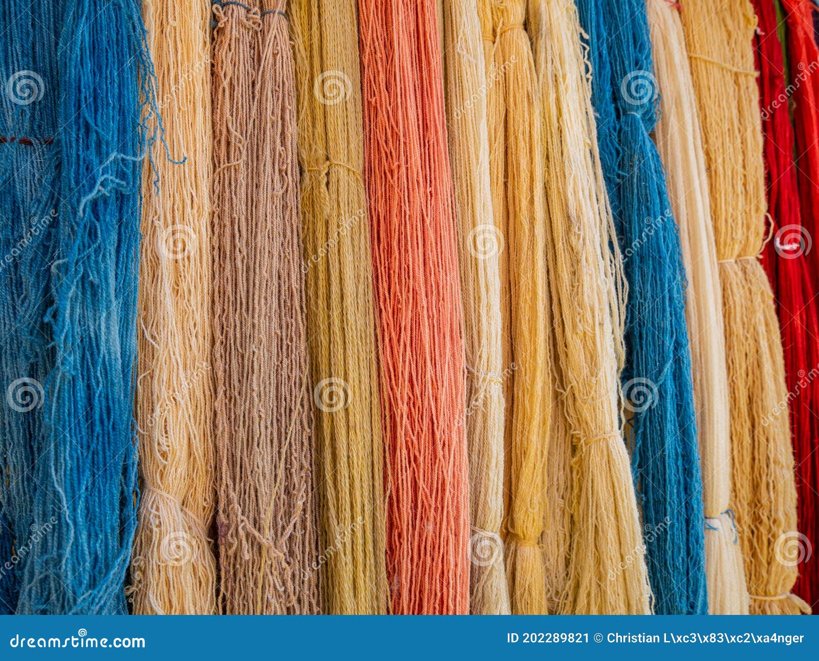 Small Bundles of a Naturally Dyed Wool Stock Image - Image of dyed ...