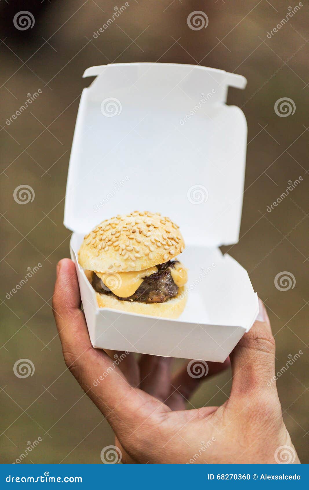Small burger stock photo. Image of seeds, bread, hold - 68270360