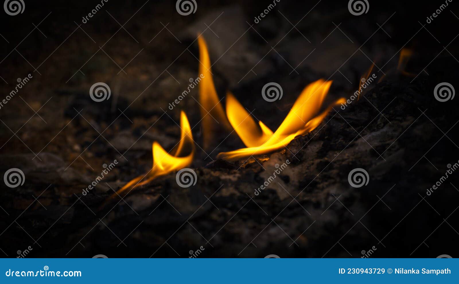 Small Burning Fire Isolated in the Dark Environment Stock Image - Image ...