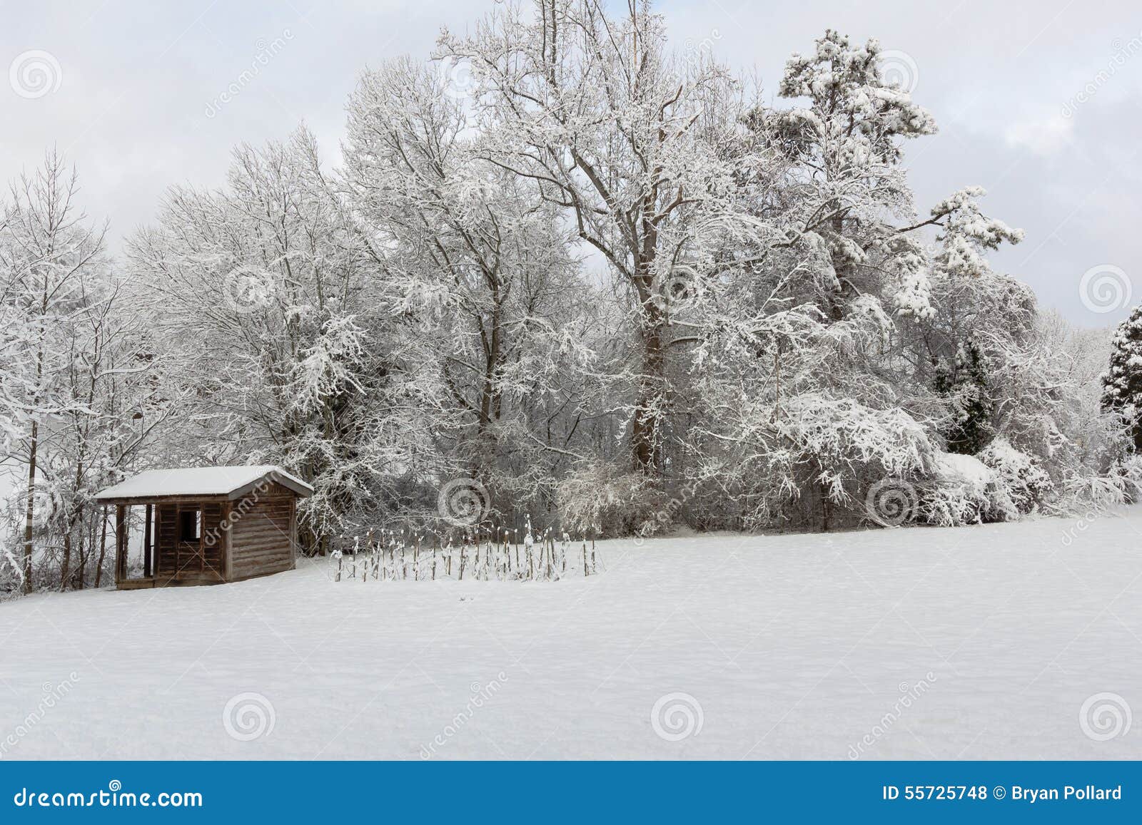 Small cabin in snow stock photo. Image of carolina, storm - 55725748