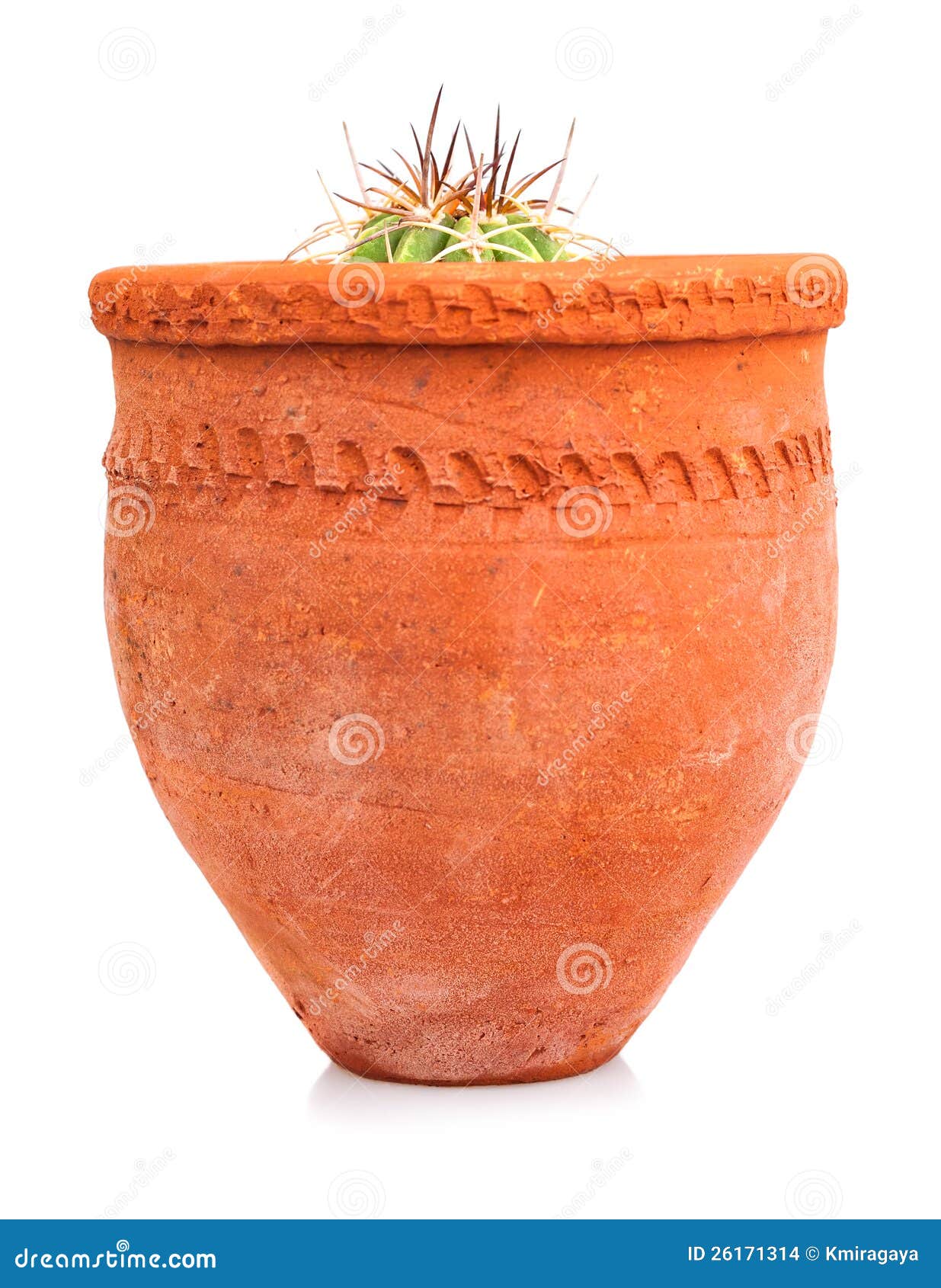 Small Cactus Planted on a Red Clay Pot Stock Photo - Image of ...
