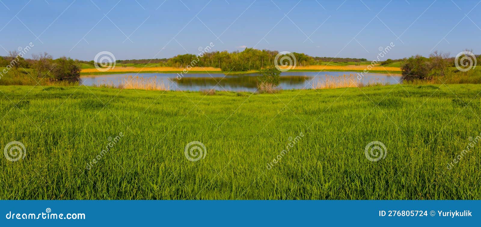 Calm Lake among Green Fields and Forest Stock Photo - Image of tree ...