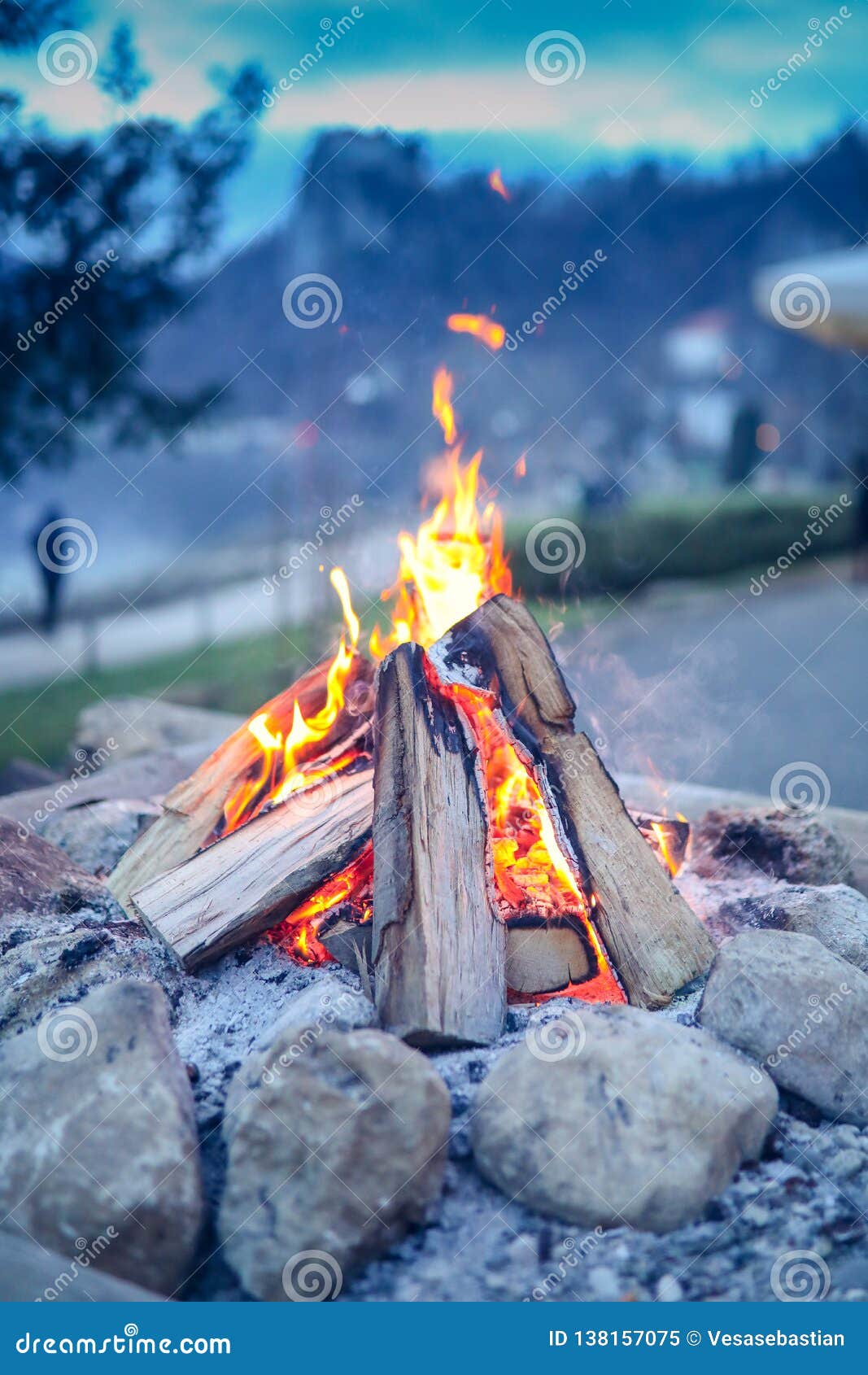 Small Camp Fire with a Pile of Wood at Bled Stock Image - Image of ...