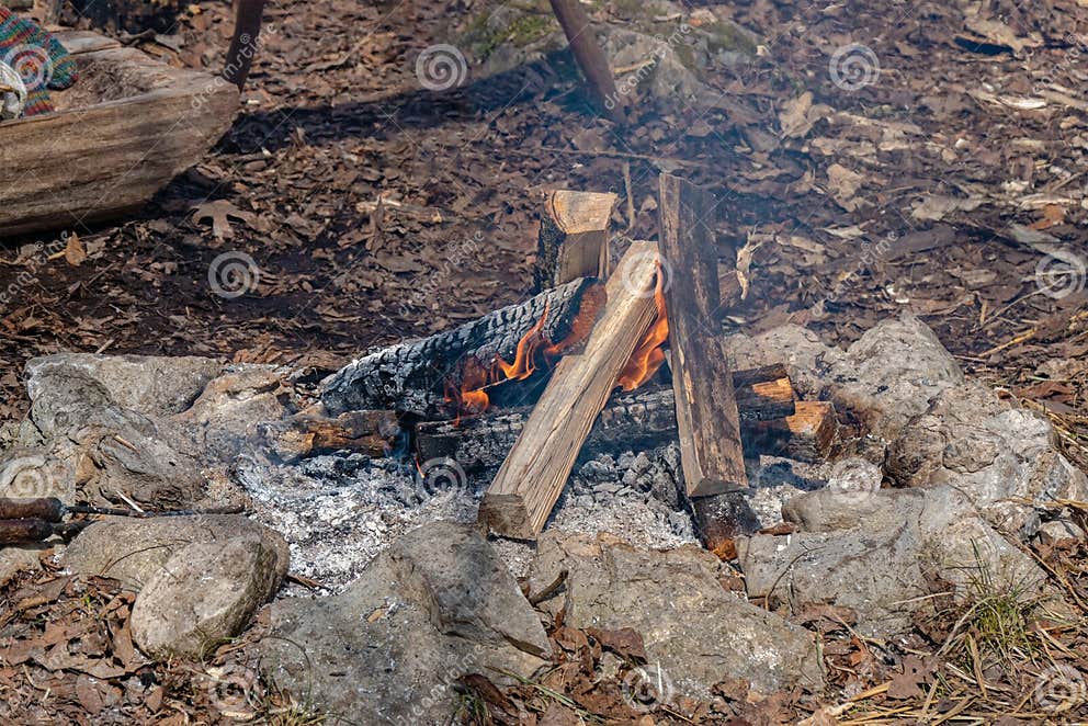 Small Campfire in Early Springtime Stock Image - Image of fiery ...