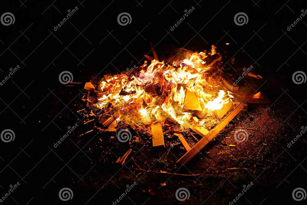 Small Campfire with Gentle Flames in the Forest Stock Image - Image of ...