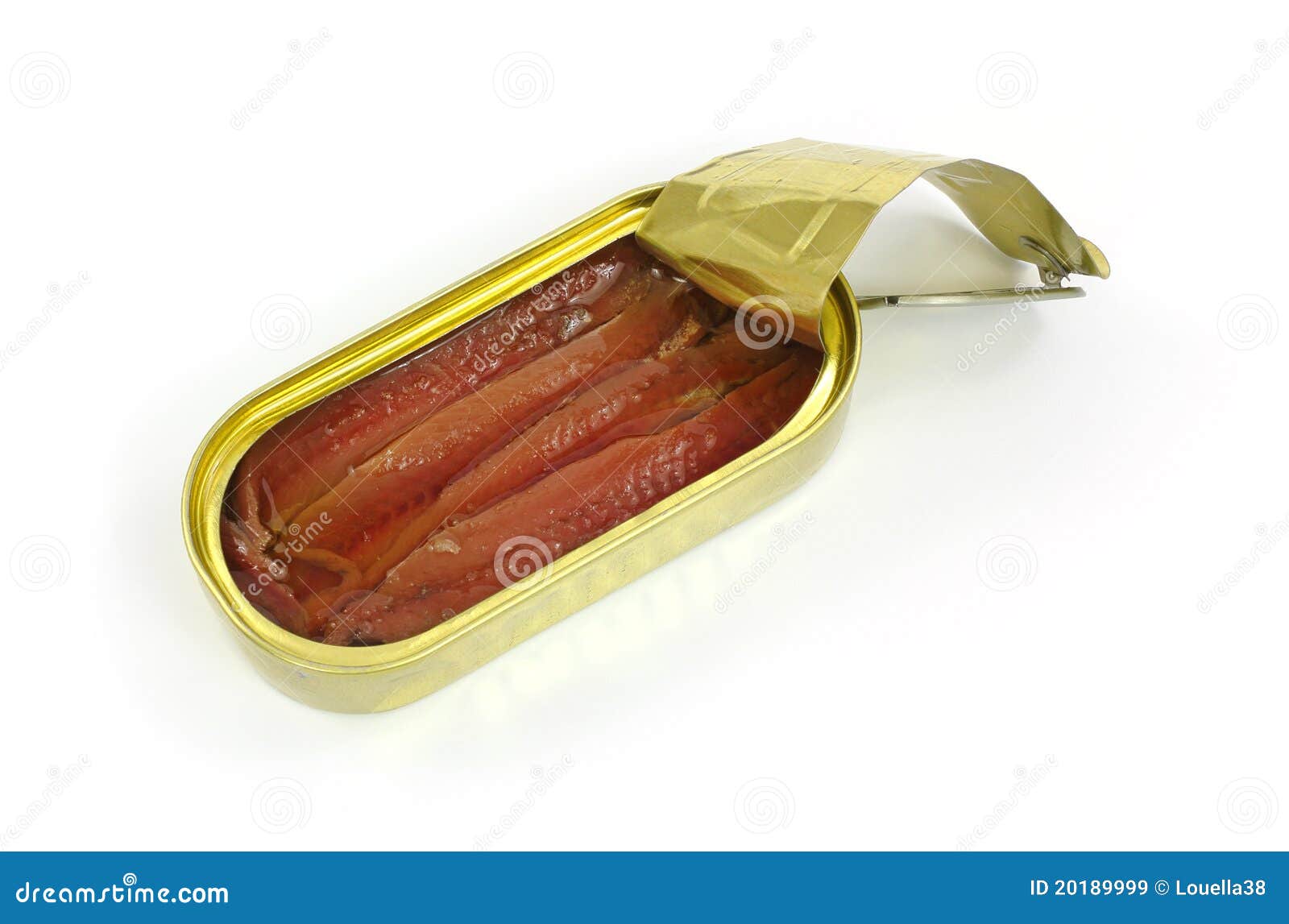 Small Can Anchovy Filets stock image. Image of small - 20189999