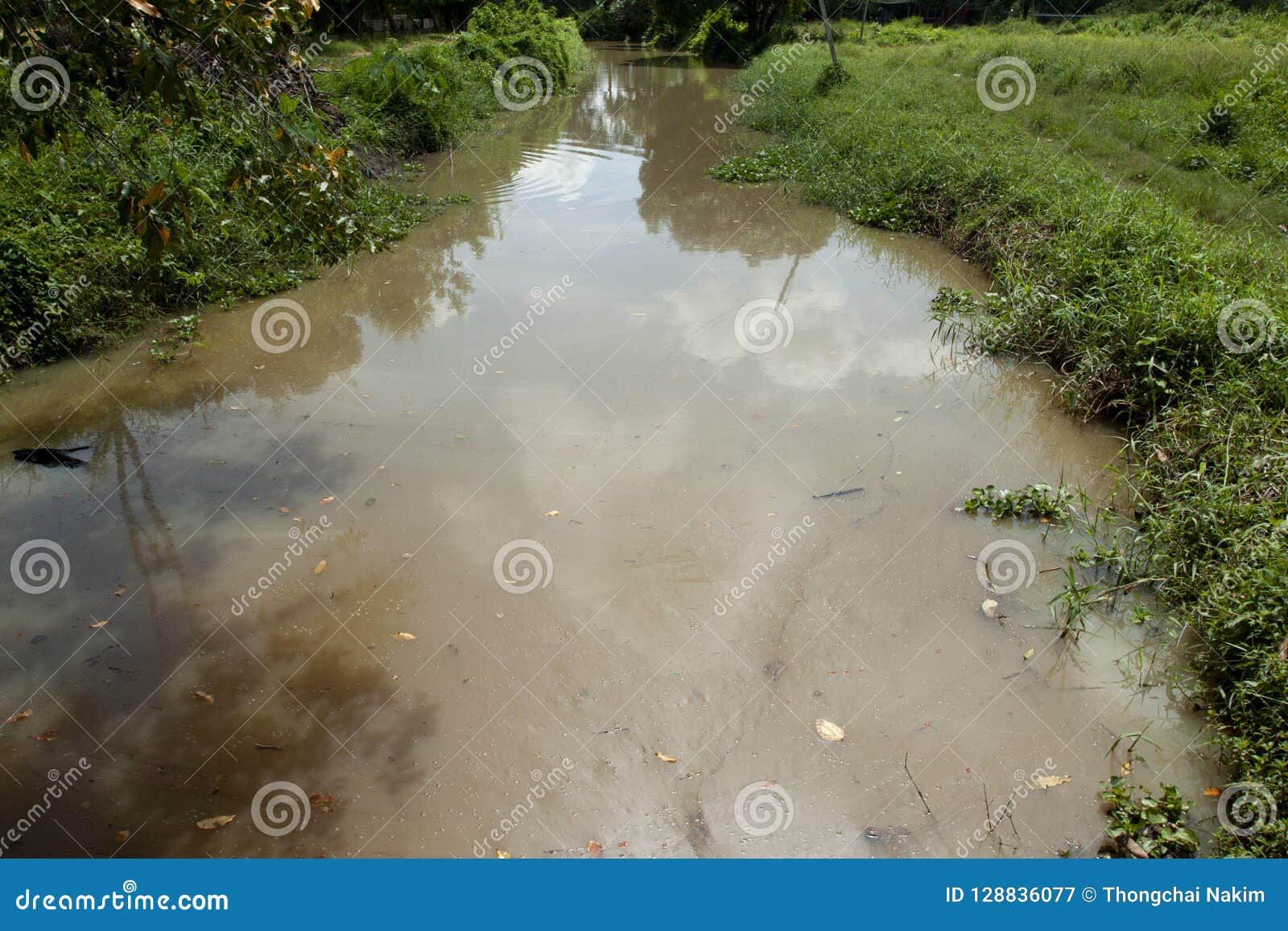 Small canal with grass stock image. Image of golf, natural - 128836077