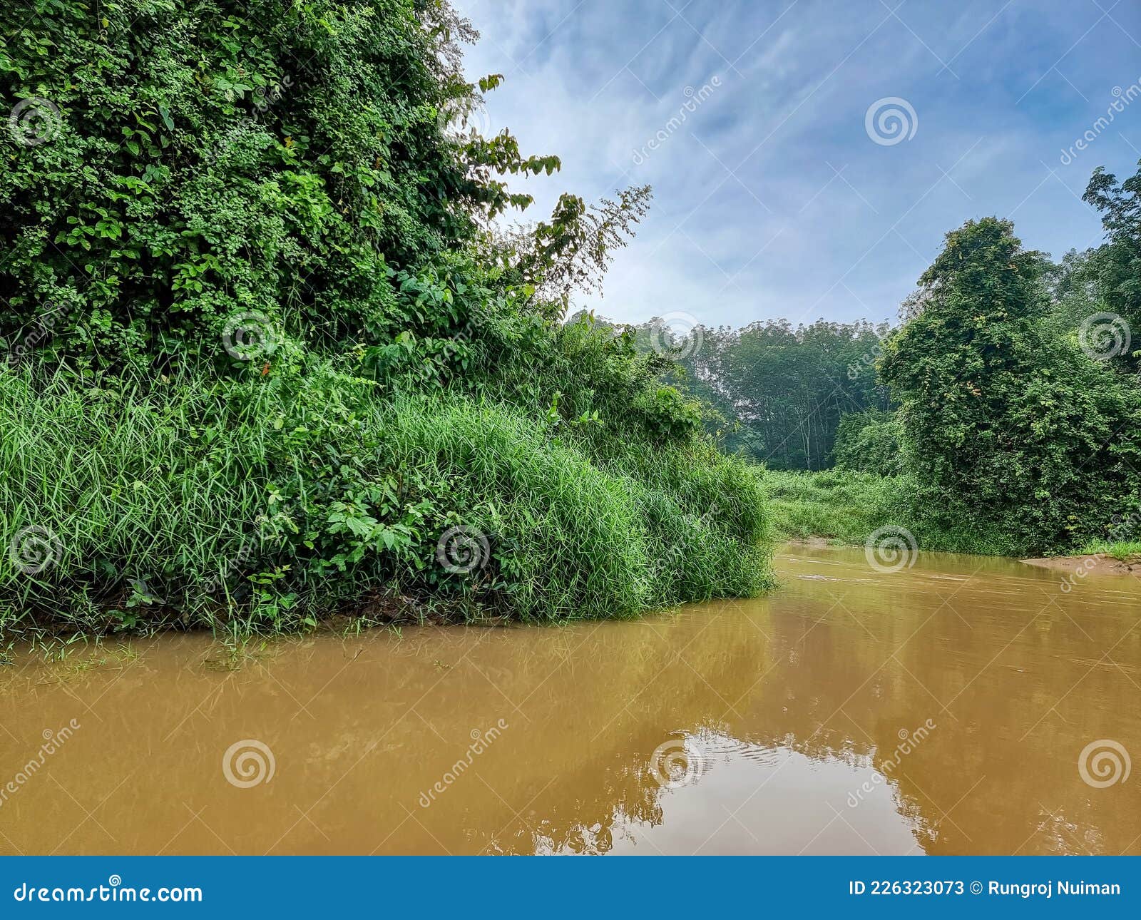 Small Canals and Green Grass Stock Image - Image of white, gray: 226323073