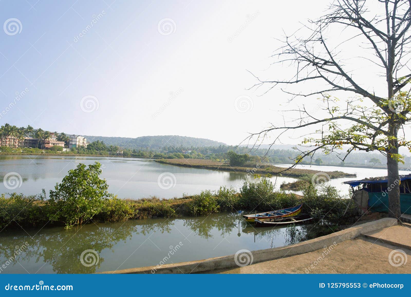 Small Canoe on Arpora River. Bardez, Goa, India Stock Image - Image of ...