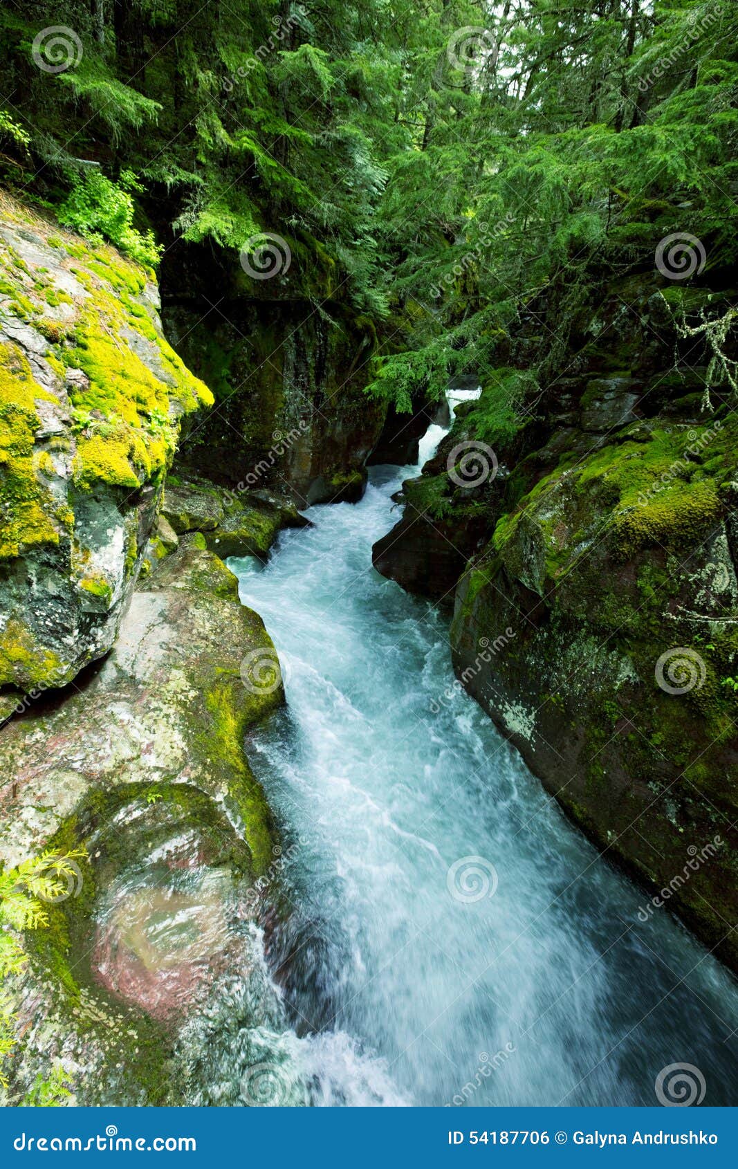 Small canyon stock photo. Image of tree, nature, creek - 54187706