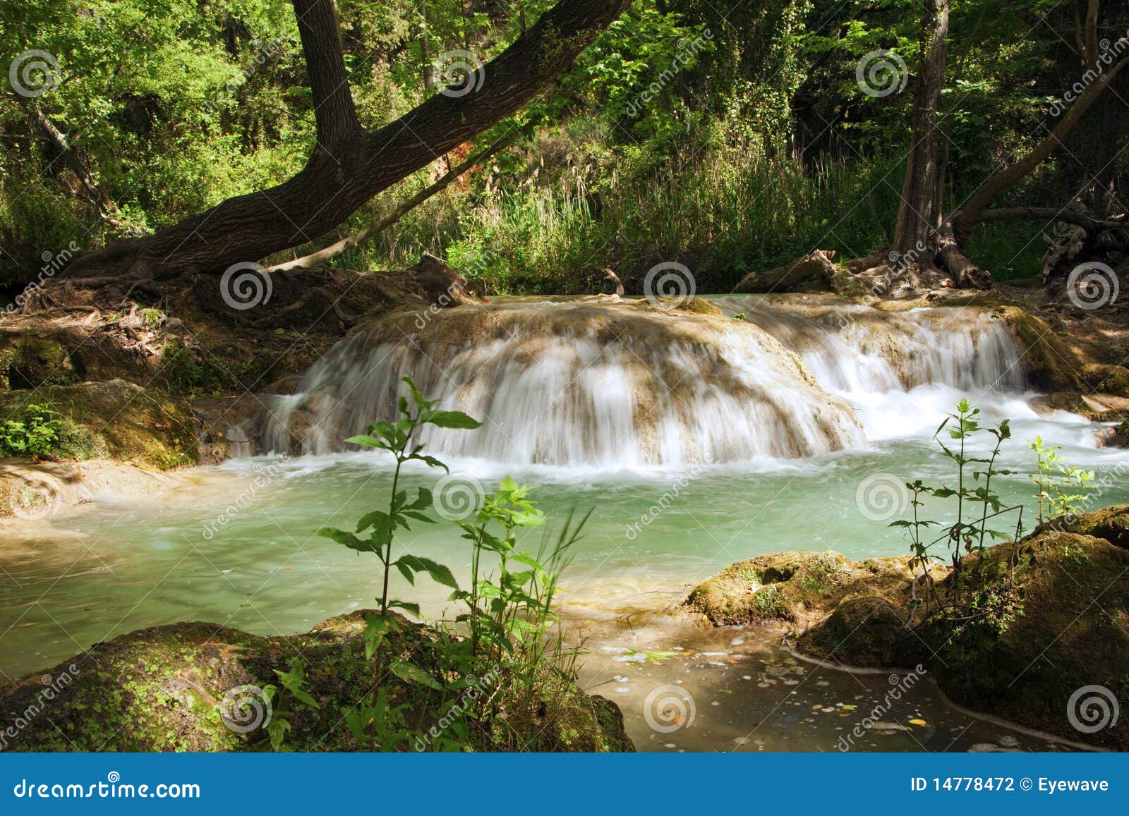 Small Cascade in the Forest Stock Photo - Image of cascade, clear: 14778472