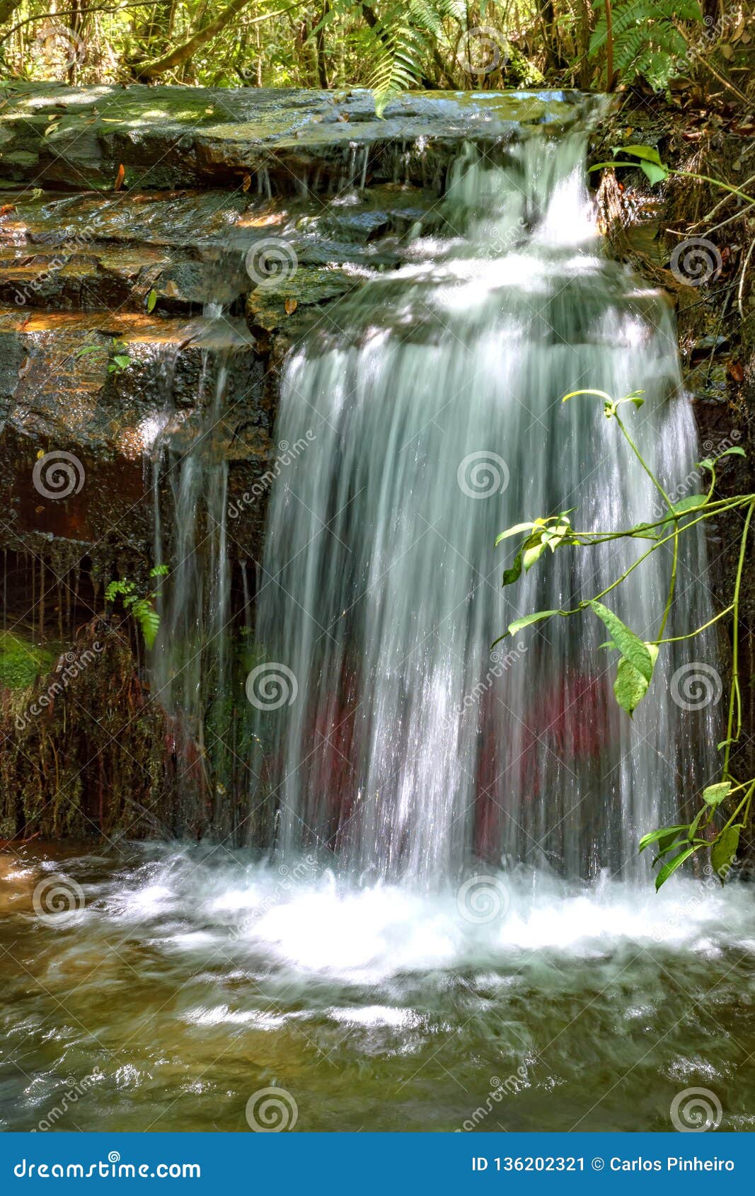 Small Cascade in the Interior of the Forest Stock Image - Image of ...