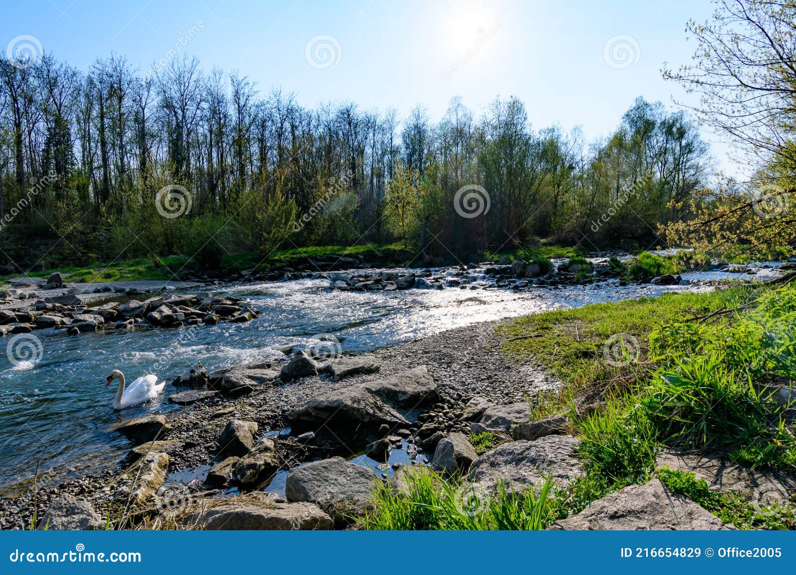 Small Cascade on the River Gusen in Austria Stock Image - Image of ...