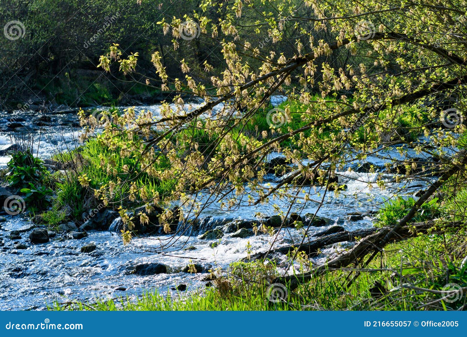 Small Cascade on the River Gusen in Austria Stock Image - Image of ...
