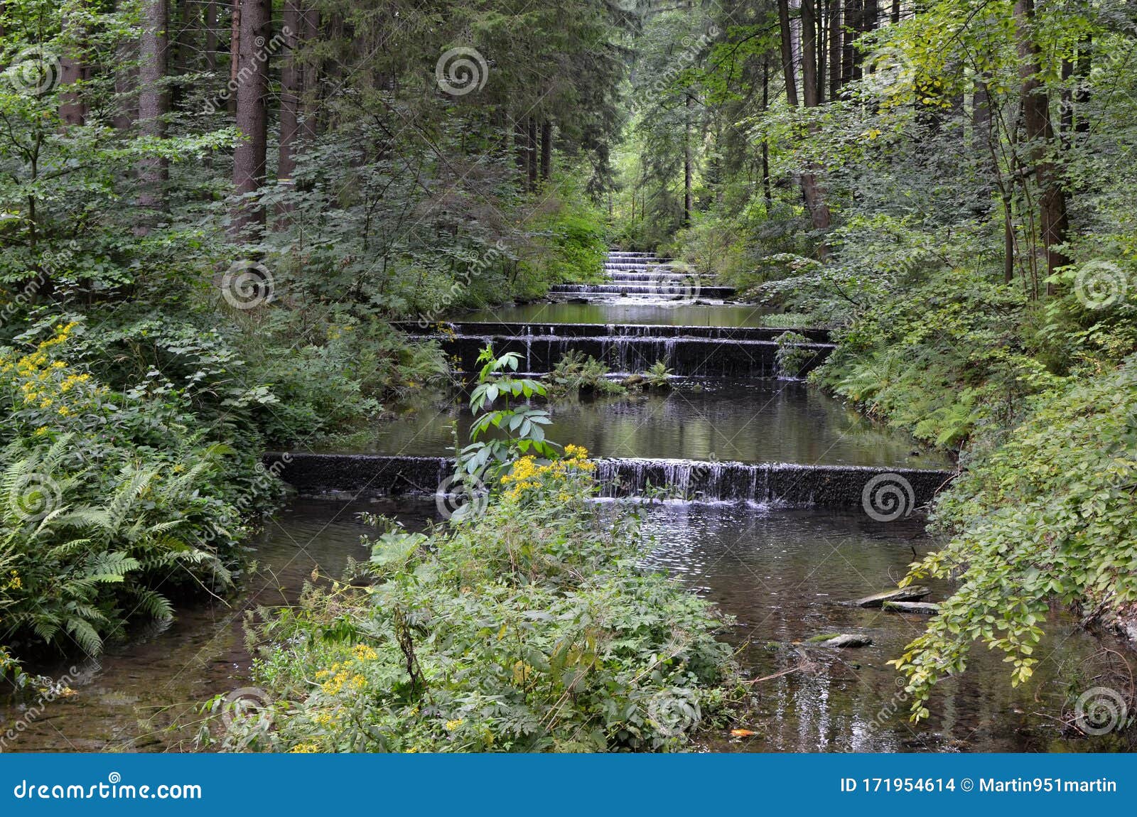 Small Cascade Water River in the Forest Nature Photo Stock Photo ...