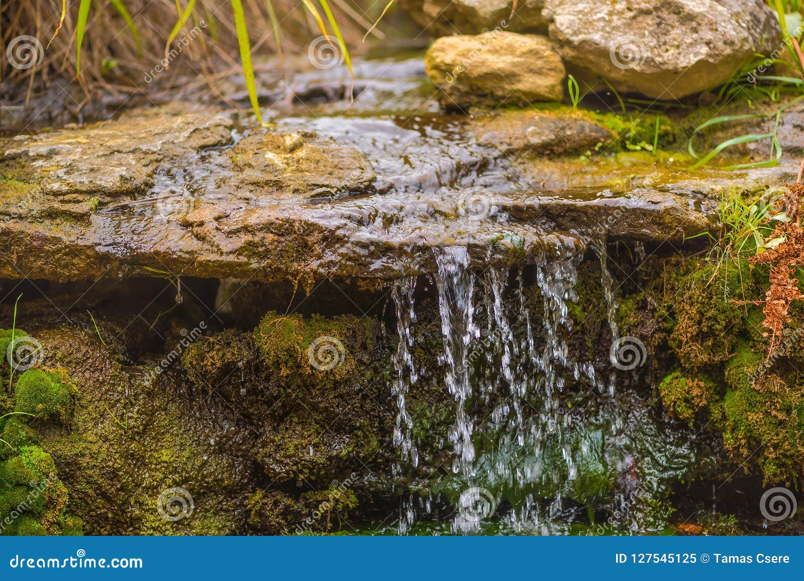 Small Cascade Waterfall Flowing into Rocks in a Lush Forest Stock Image ...