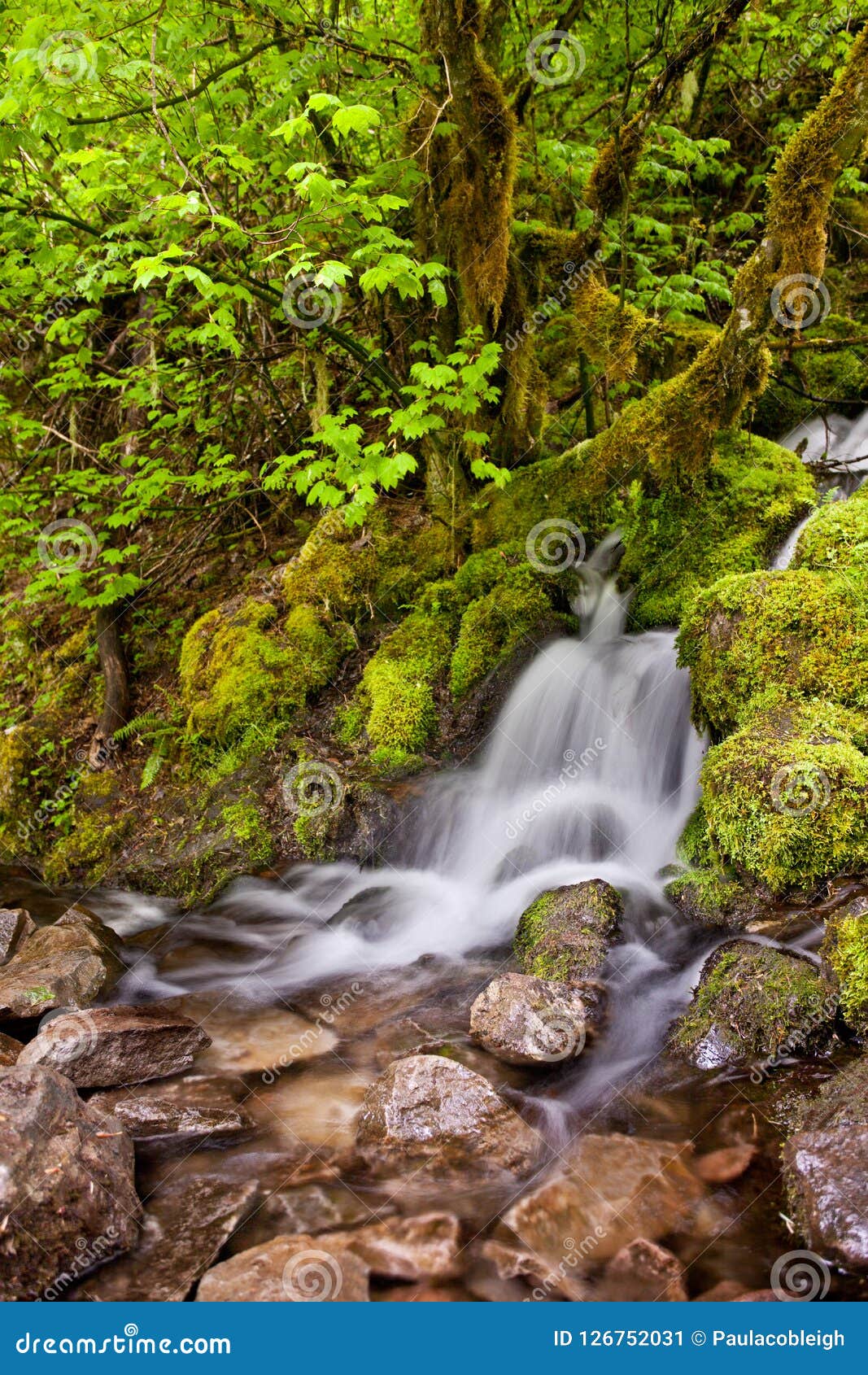 Small Cascade Waterfall Flowing into Rocks Stock Image - Image of ...