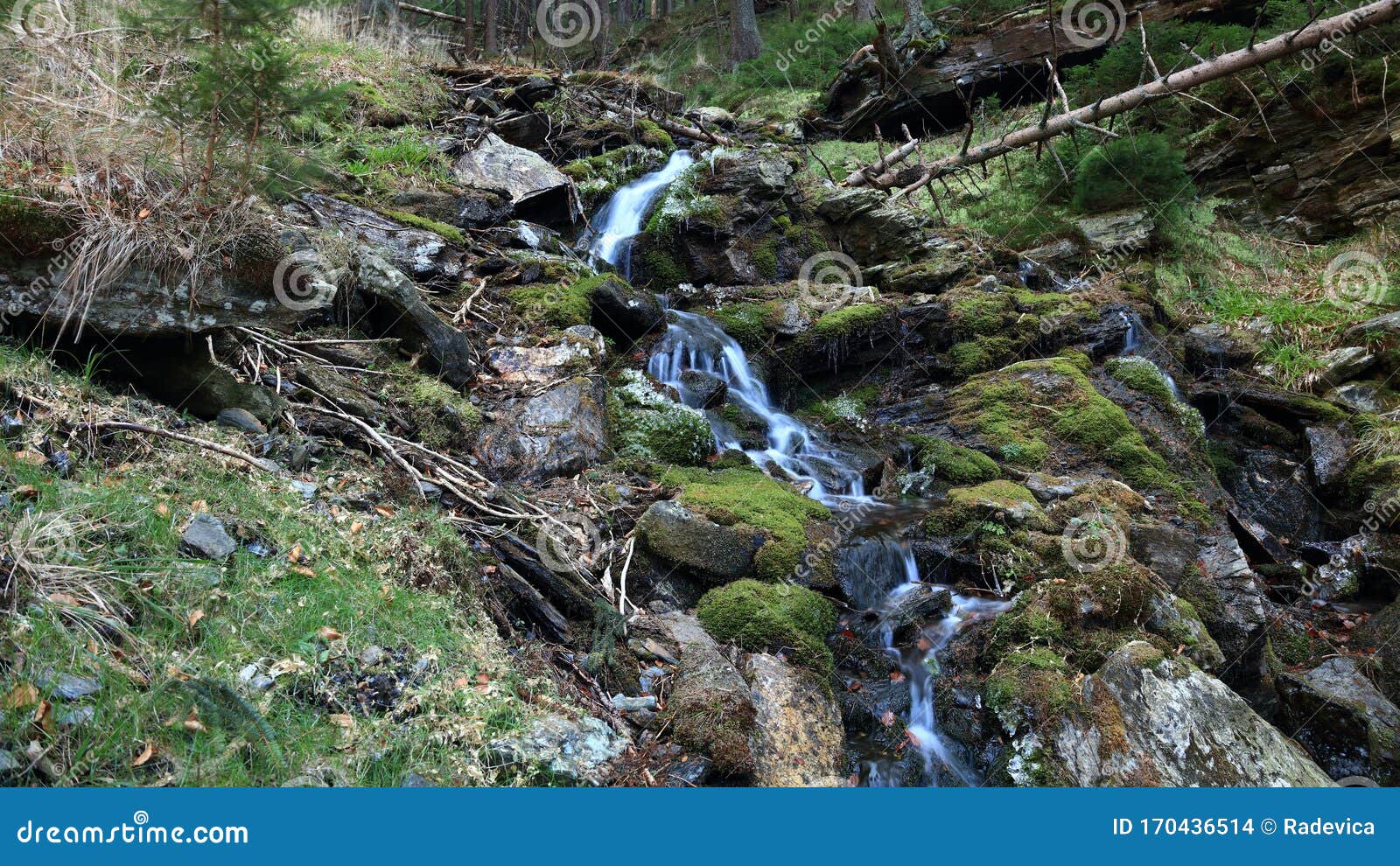 Small Cascade Waterfall in Green Forest with Tree Trunks Fallen All ...