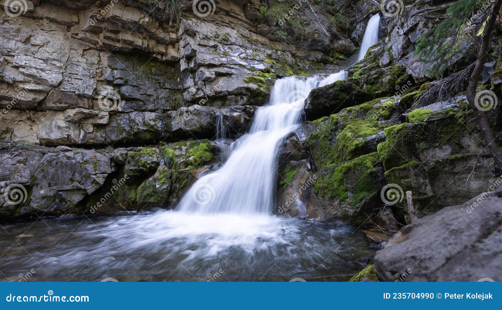 Small Cascade Waterfall Hidden in a Forest, Canadian Rockies, Canada ...