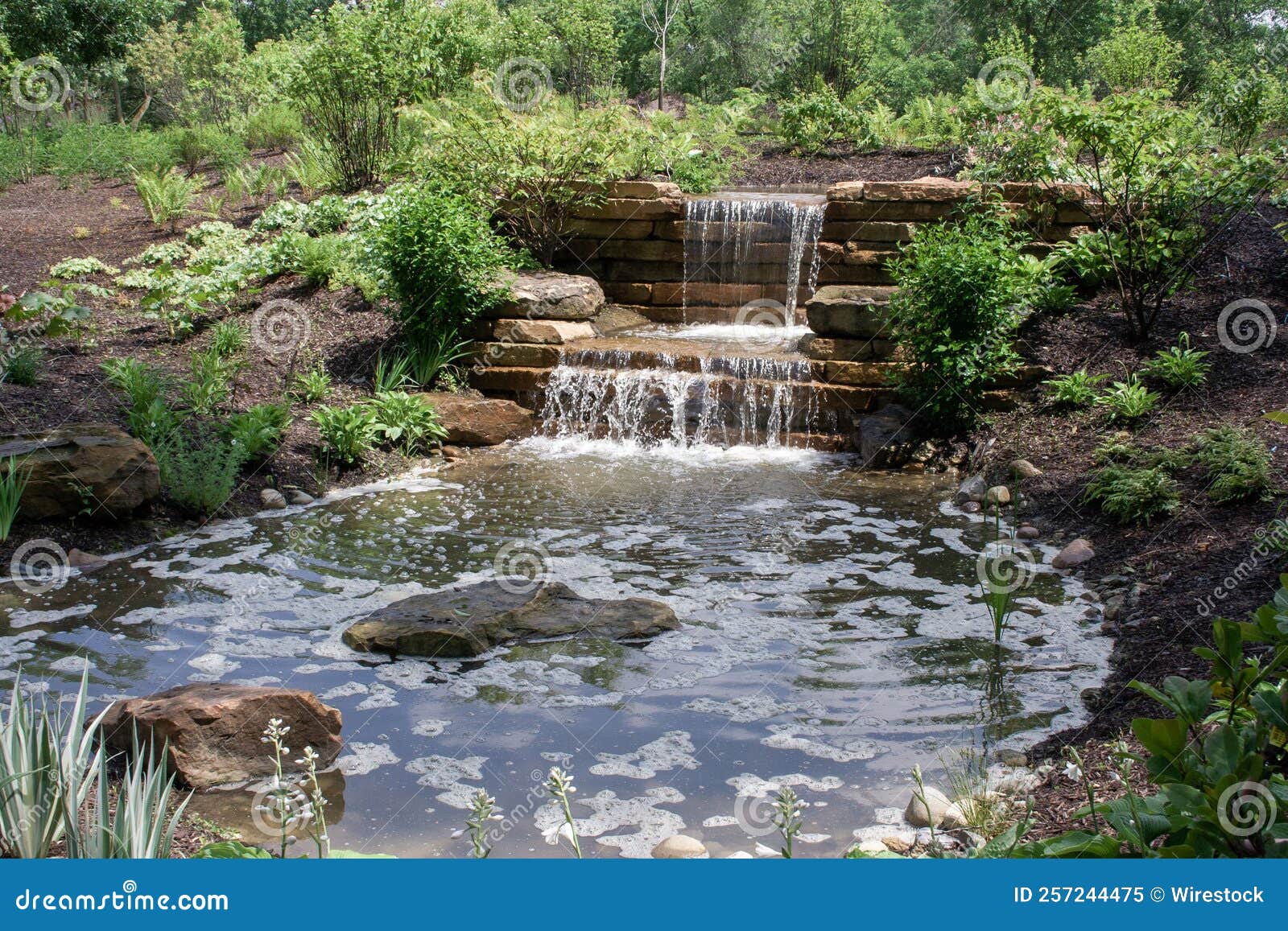 Small Cascade Waterfall and River Surrounded by Greenery Stock Image ...