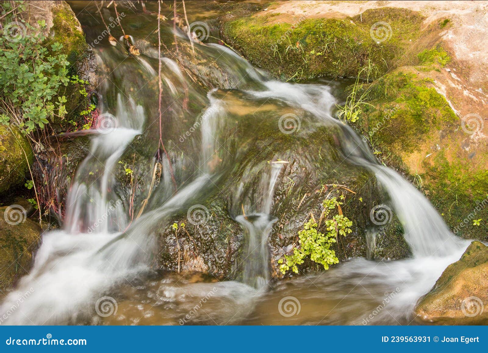 Small Cascade in Wild Natural Stream. Stock Image - Image of ...