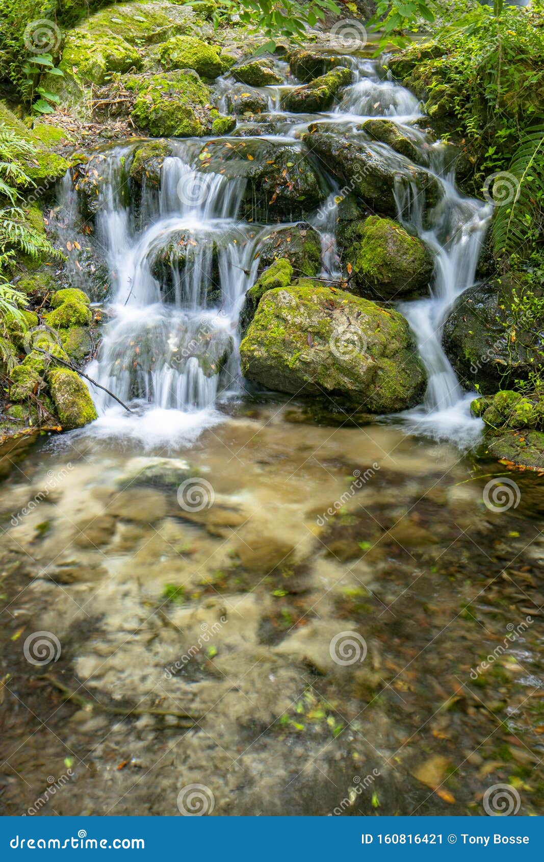 Small Waterfall in the Forest Stock Image - Image of mineral ...