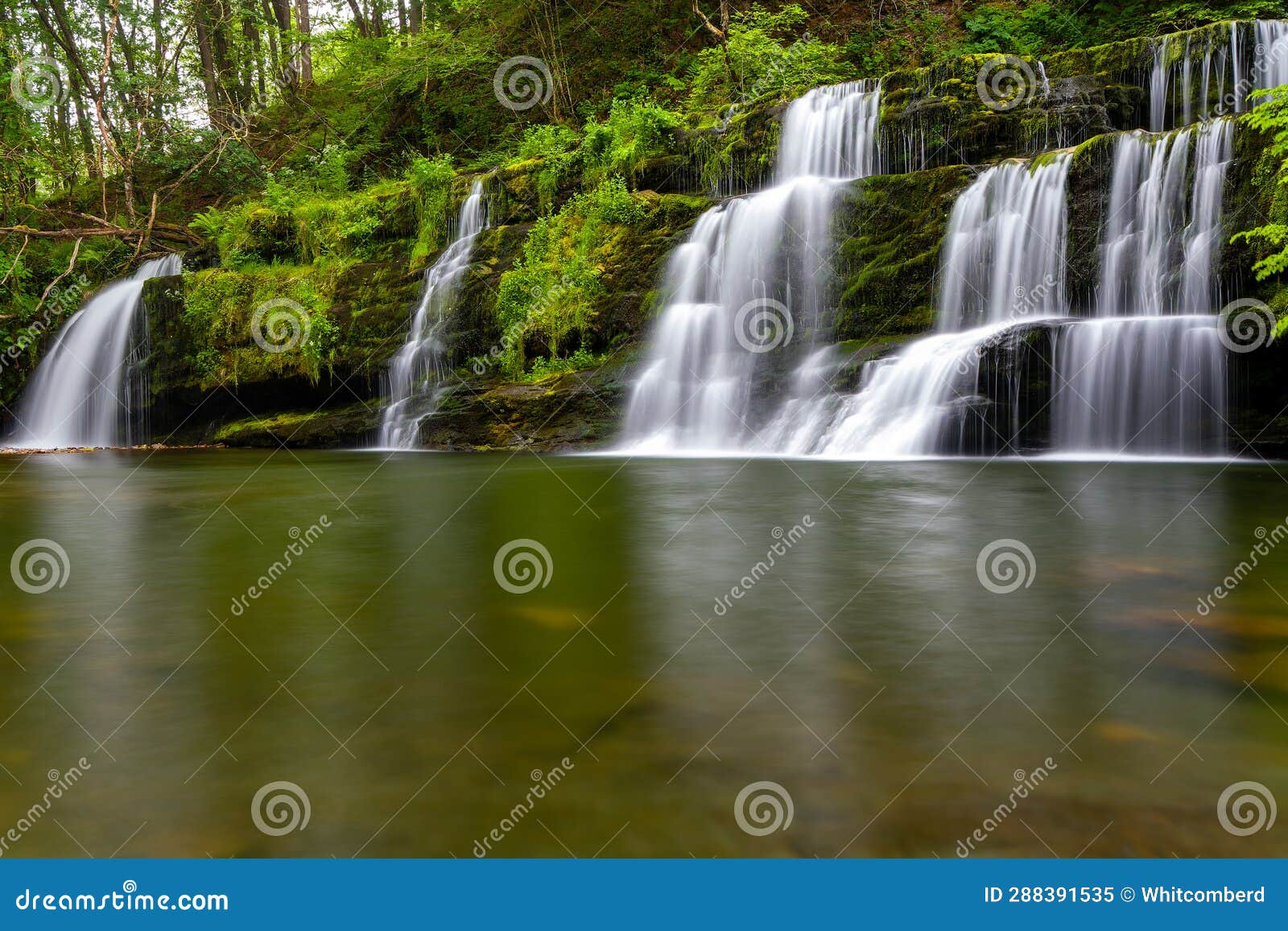 A Small, Cascading Waterfall in a Green Forest Stock Image - Image of ...