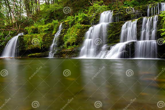 A Small, Cascading Waterfall in a Green Forest Stock Image - Image of ...