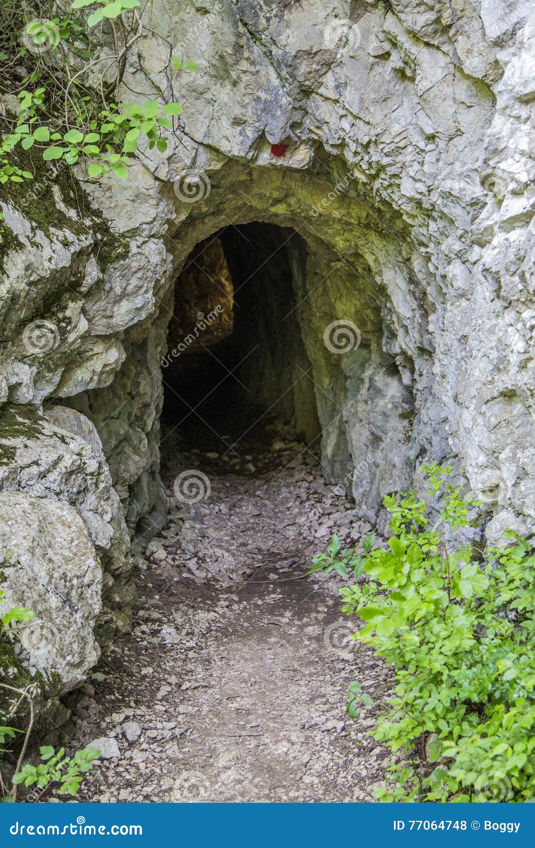 Small cave stock photo. Image of river, nera, cavern - 77064748