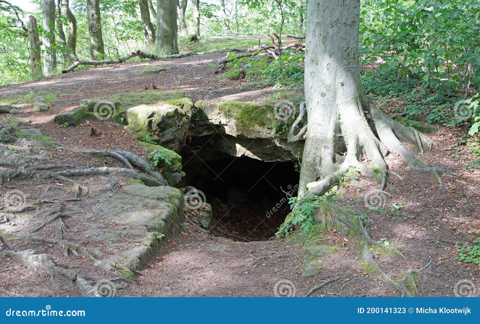 Small cave in a forest stock image. Image of tree, republic - 200141323