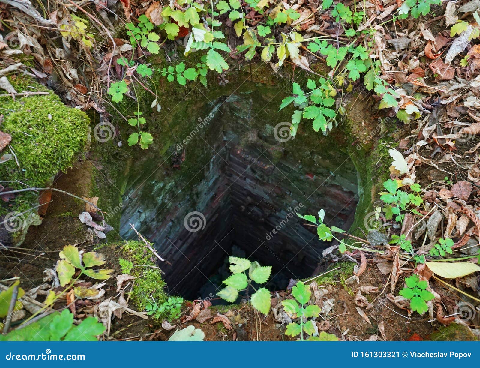 Small cave in the forest stock image. Image of cavern - 161303321