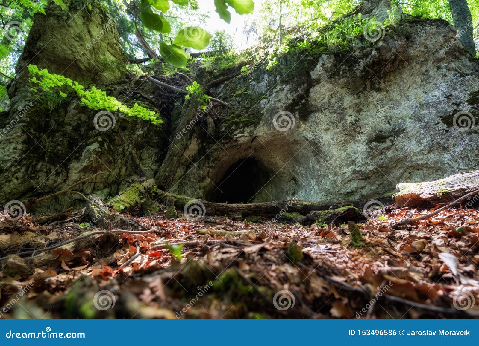 Small cave in forest stock photo. Image of stone, mala - 153496586