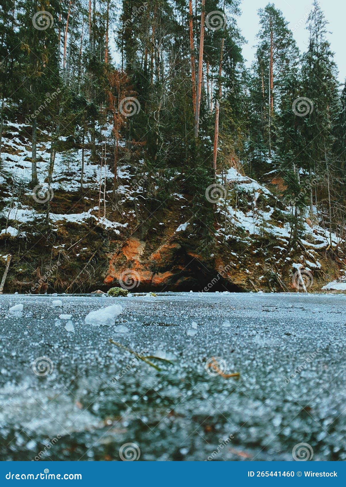 Small Cave in a Forest Partially Covered with Snow Stock Photo - Image ...