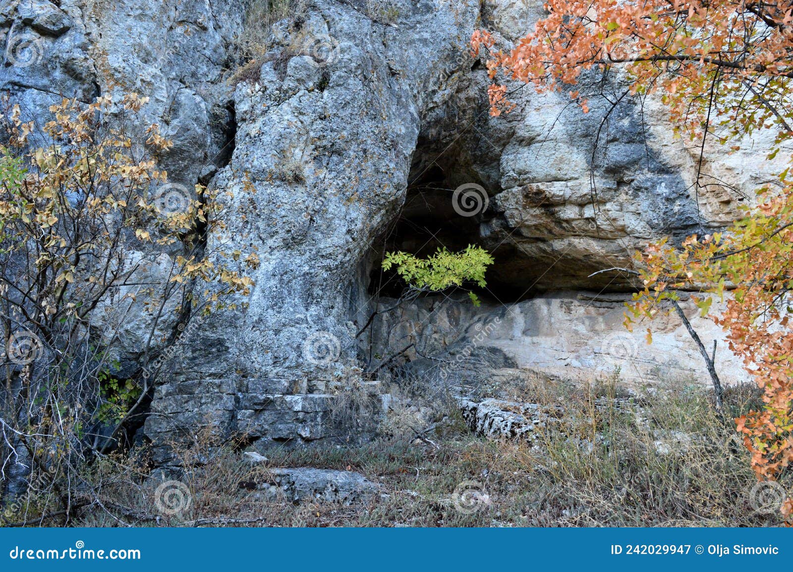 Small cave in a large rock stock image. Image of plant - 242029947