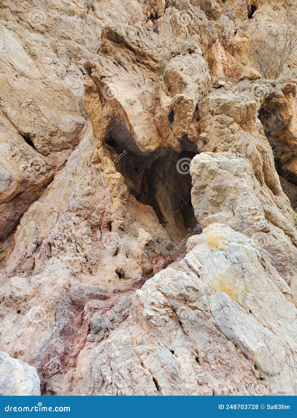 Small Cave in Muscat Wadis, Oman Stock Photo - Image of soil, trunk ...