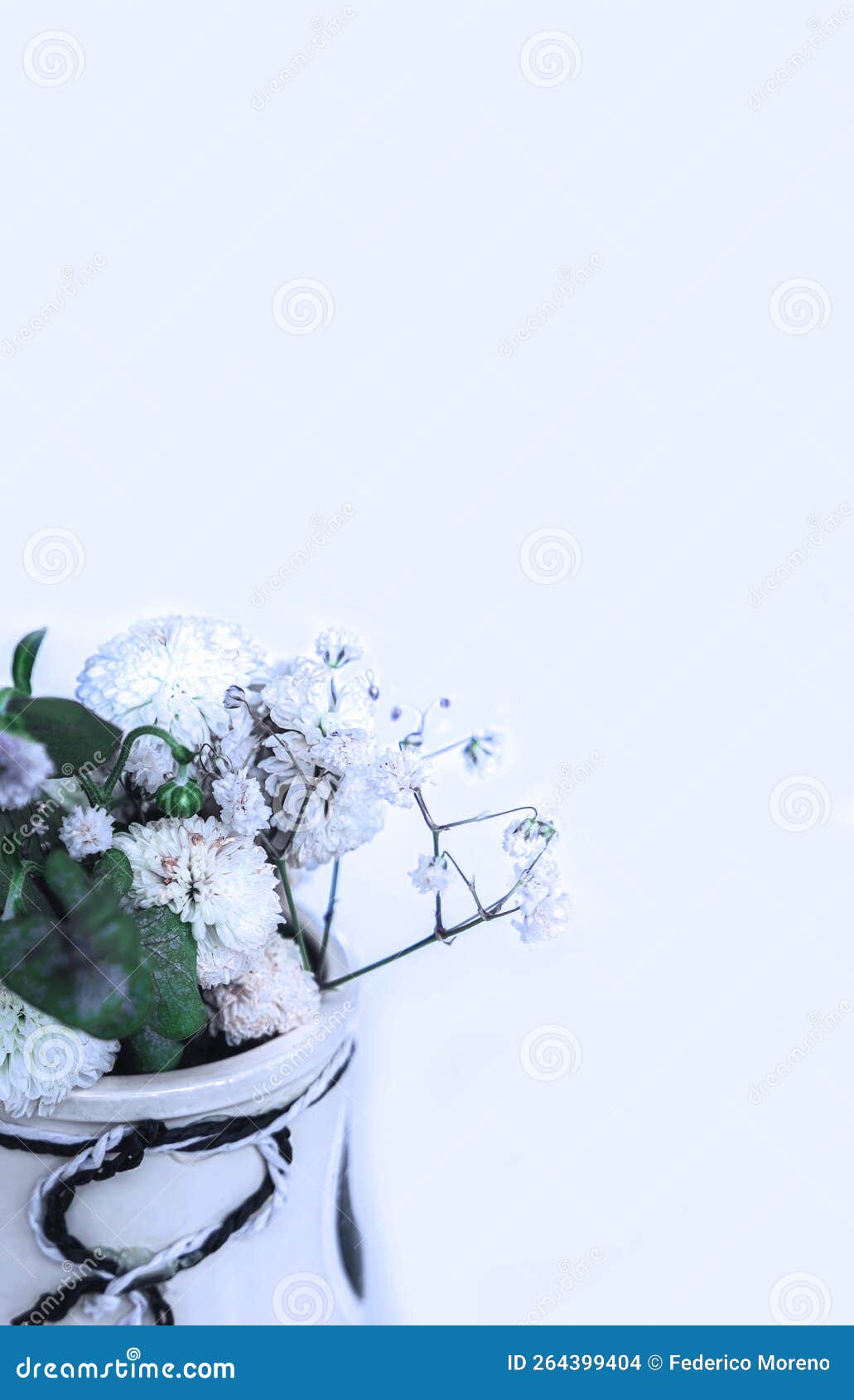 Small Ceramic Vessel Filled with a Bouquet of White Flowers on a White ...