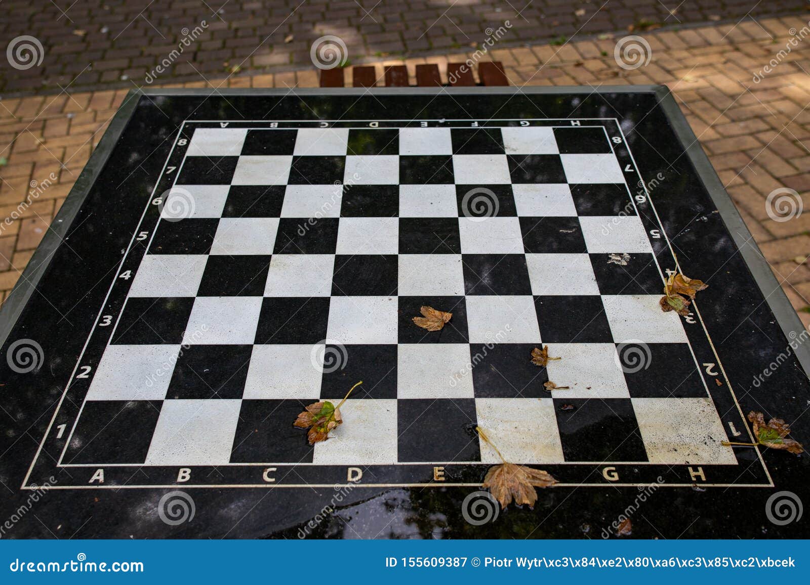 A Small Chess Table in the Park. Empty Board Game Table Stock Image ...