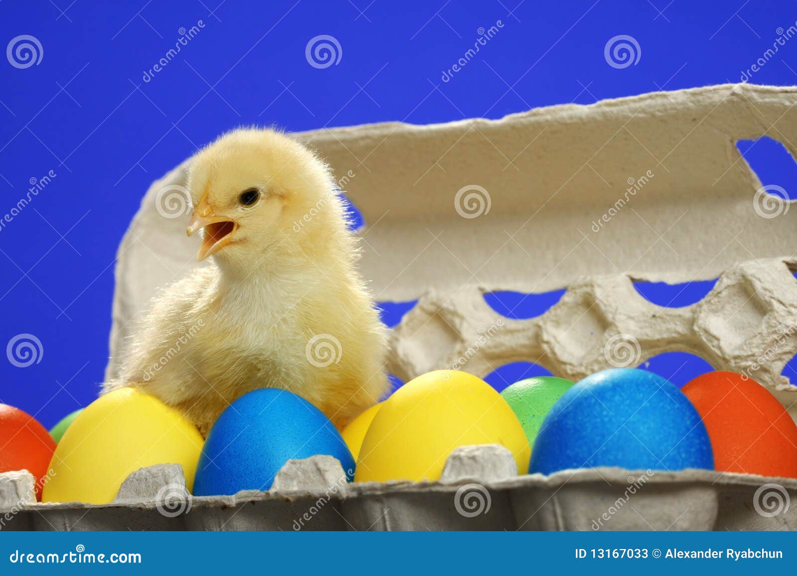 Small Chicken and Easter Eggs Stock Image - Image of easter, green ...