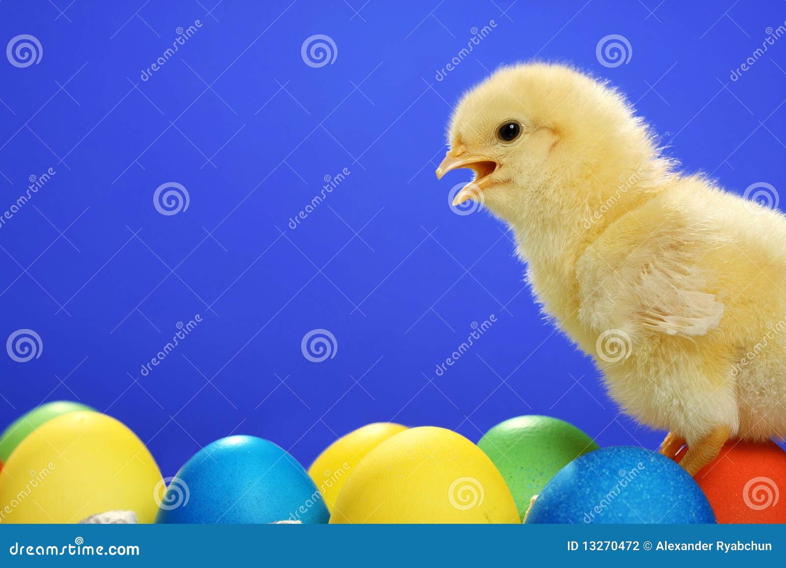 Small Chicken and Easter Eggs Stock Photo - Image of fluffy, cute: 13270472
