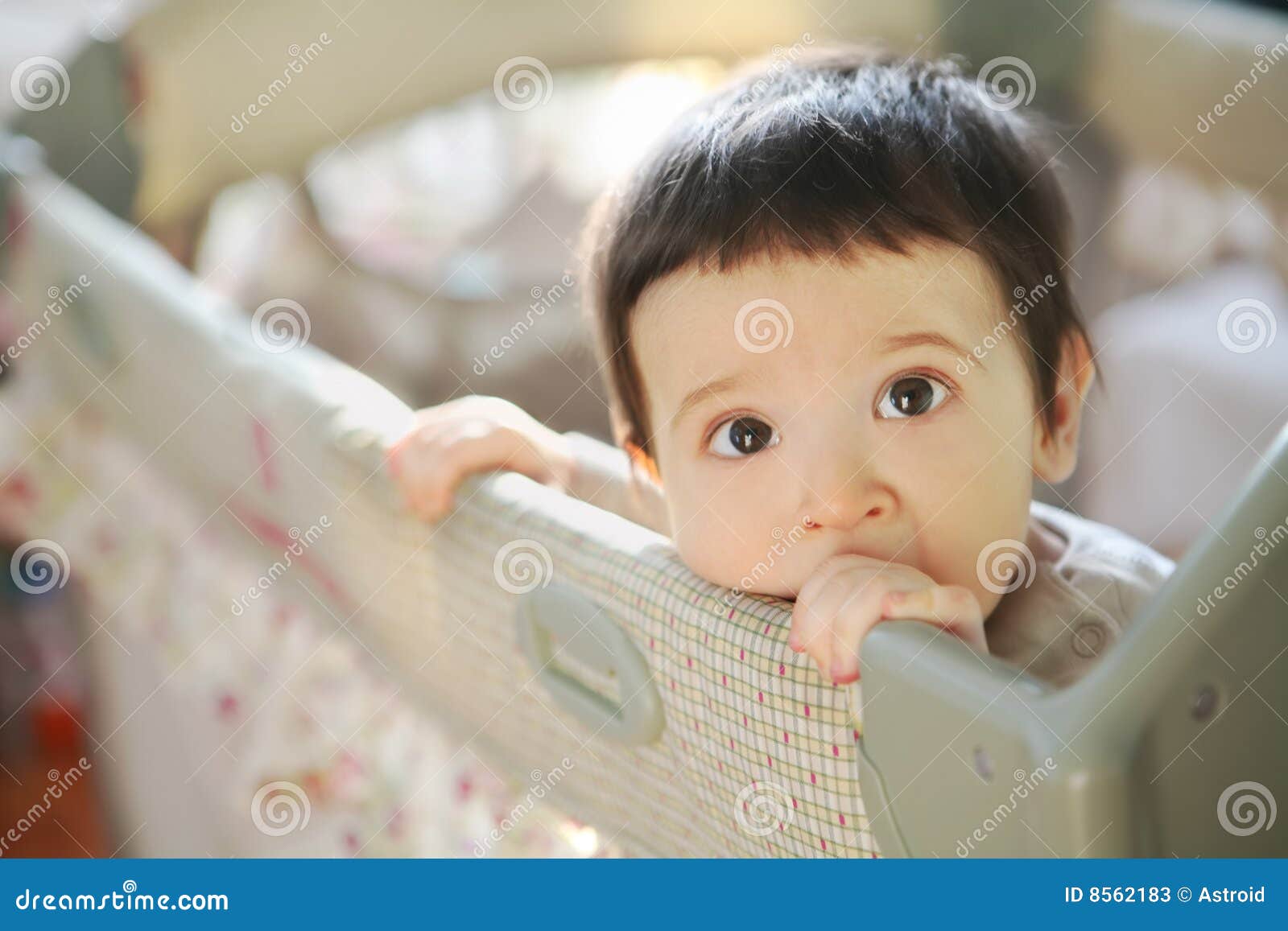 Small child stock image. Image of innocence, face, lifestyle - 8562183