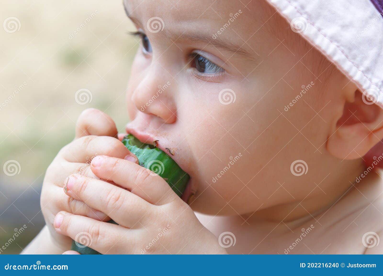 Small Child Eating Cucumber Summer Lake Weekend Stock Photo - Image of ...